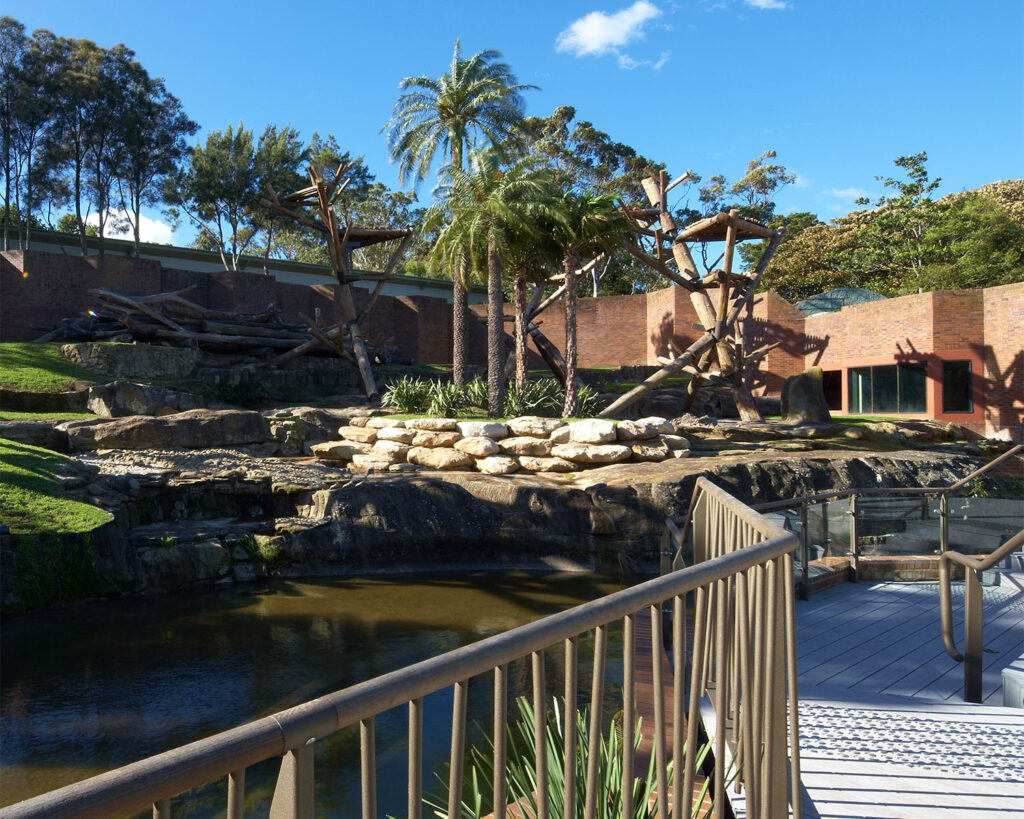 Taronga Zoo Chimpanzee Exhibit - Jackson Teece