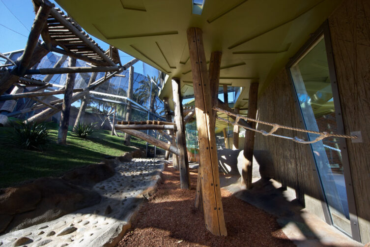 Taronga Zoo Chimpanzee Exhibit - Jackson Teece