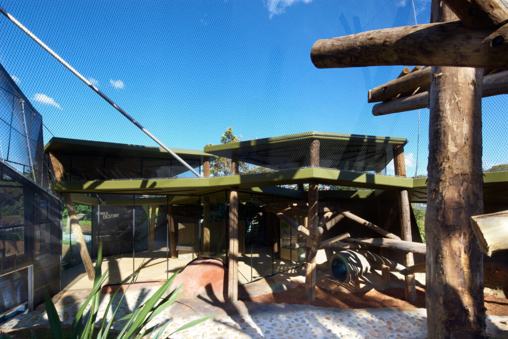 Taronga Zoo Chimpanzee Exhibit - Jackson Teece