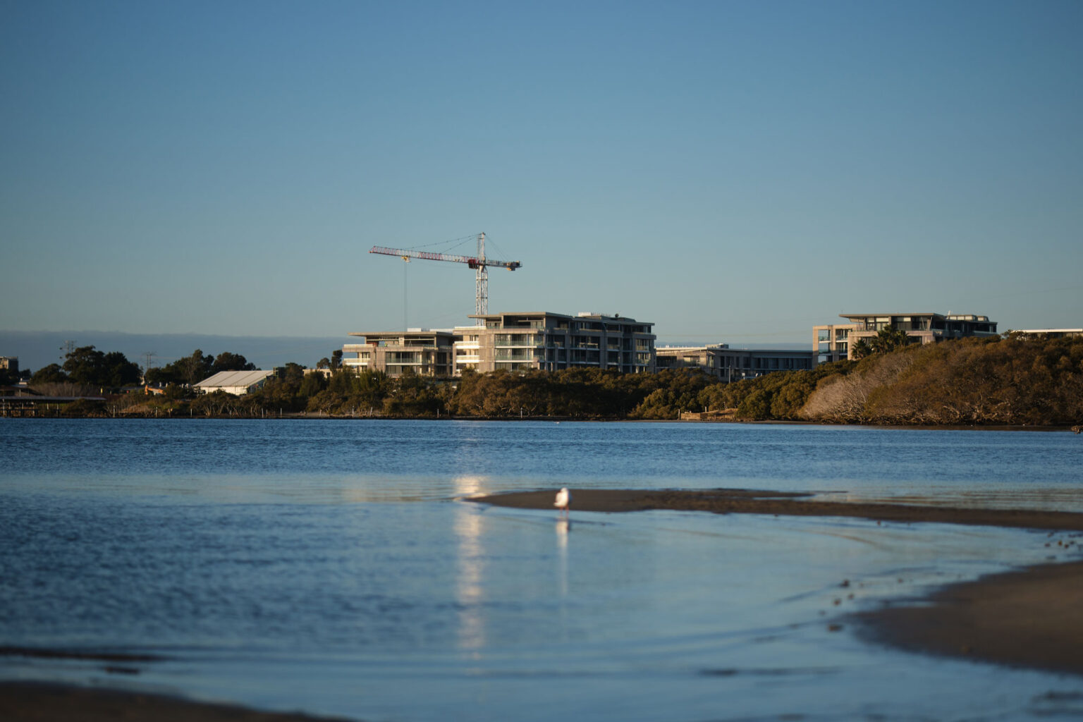 News - Jackson Teece